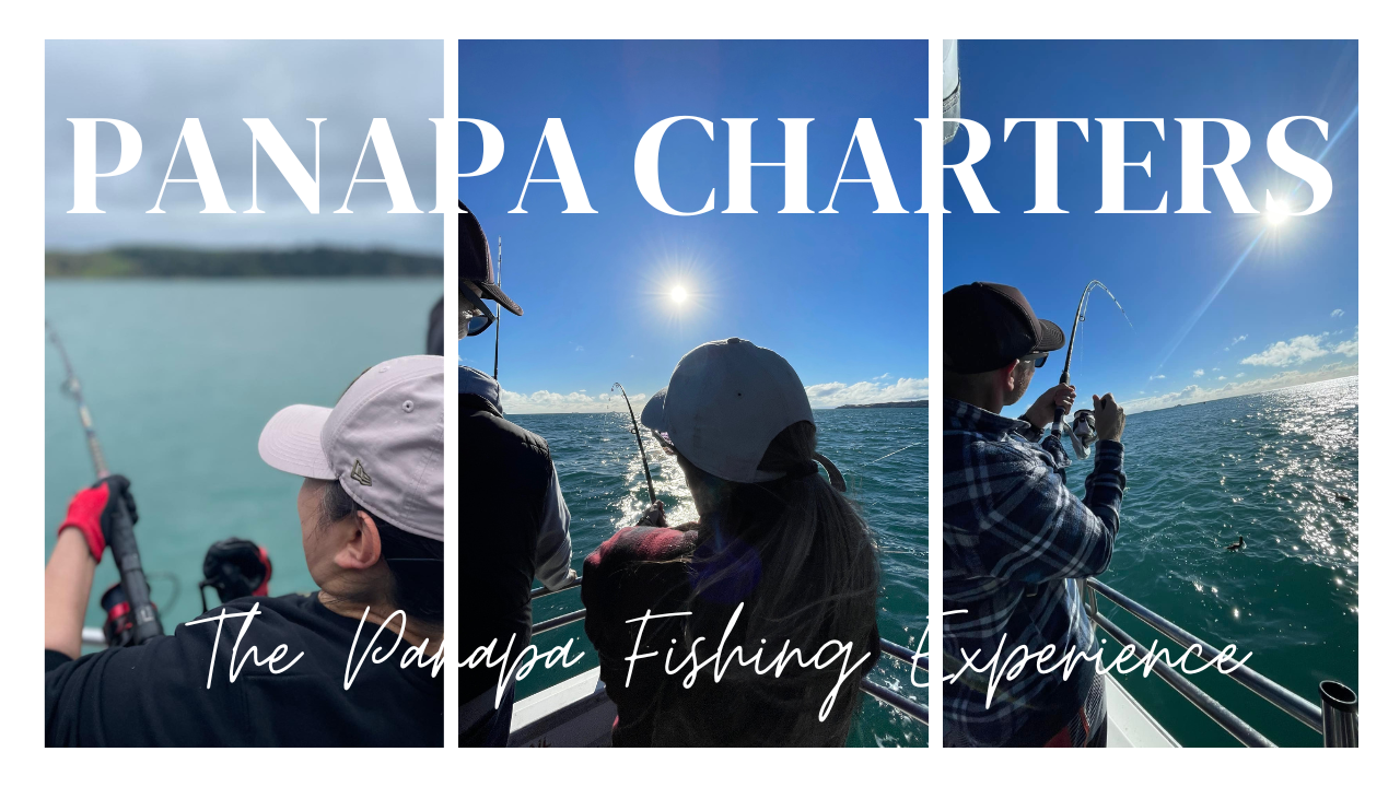 Fishing in Auckland, New Zealand